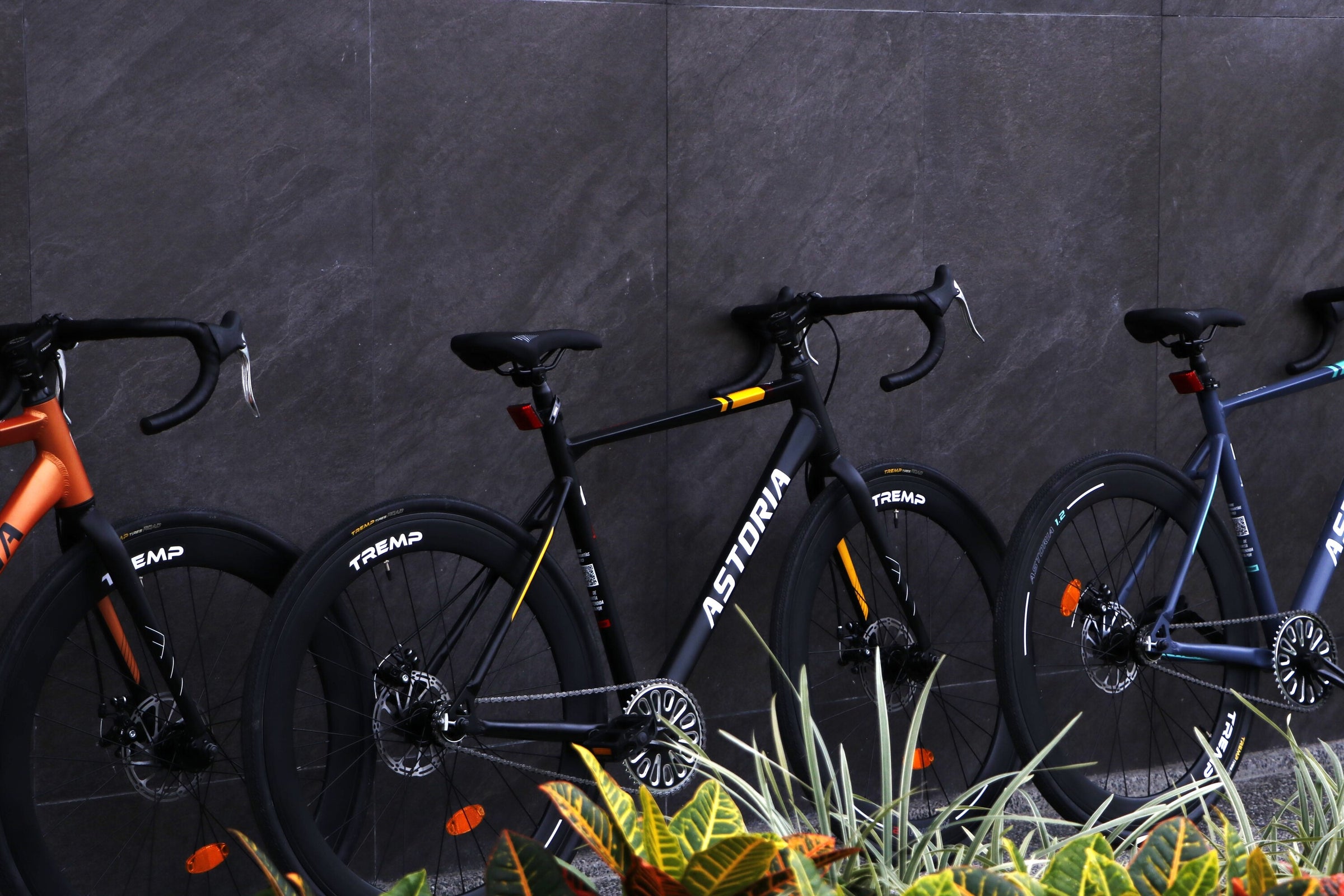 Profit Bicycles - Home