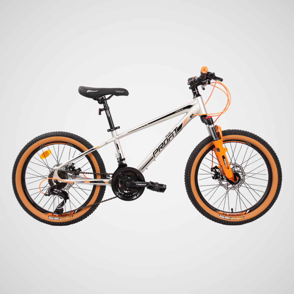 Bicicleta Jasper Z/X3 con 8 velocidades | Profit Bicycles