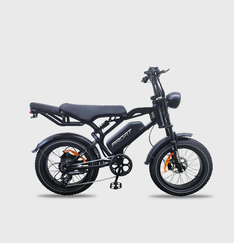 E bike | Profit Bicycles