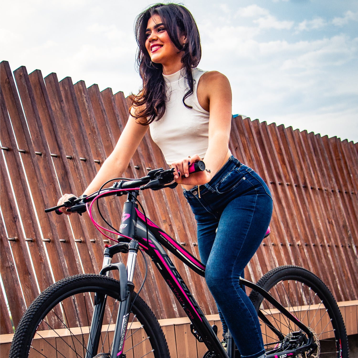 Bicicleta Profit Montana X20 MAX | Profit Bicycles