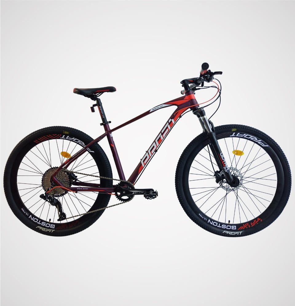 Bicicleta Boston Ultra de 12 velocidades | Profit Bicycles